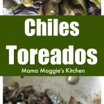 Chiles Toreados + VIDEO