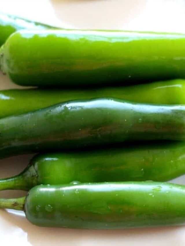 Serrano Pepper - Mamá Maggie's Kitchen