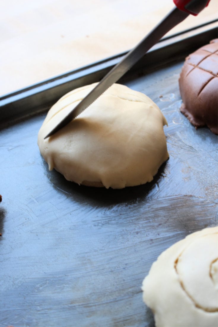 Mexican Conchas + VIDEO - Mamá Maggie's Kitchen