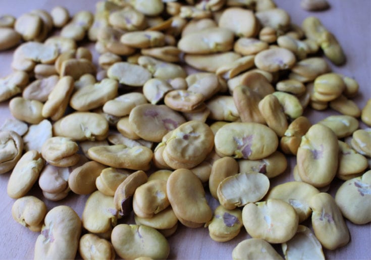 Sopa de Habas + VIDEO - Mamá Maggie's Kitchen