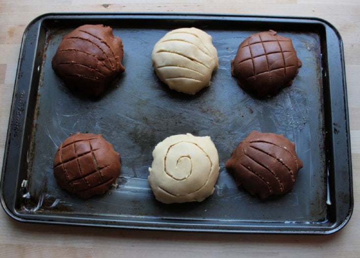 Mexican Conchas + VIDEO - Mamá Maggie's Kitchen