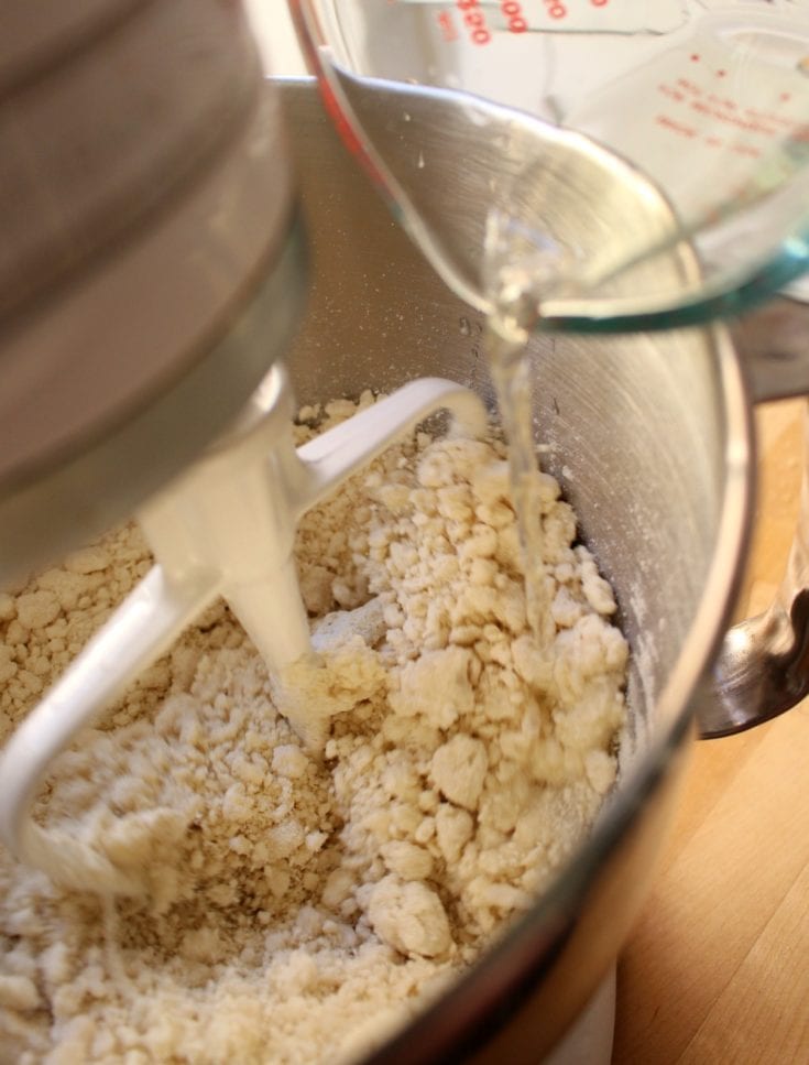 Tamale Masa Recipe with Oil + VIDEO - Mamá Maggie's Kitchen