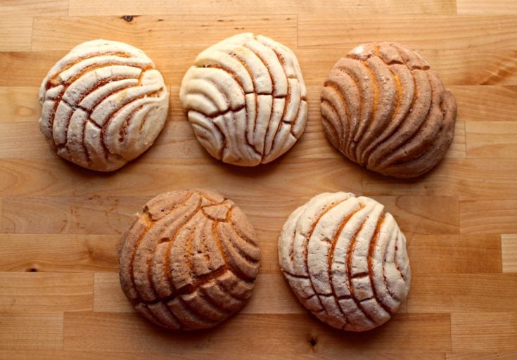 Mexican Conchas + VIDEO - Mamá Maggie's Kitchen