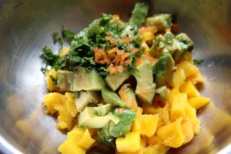 Avocado Mango Salsa + VIDEO