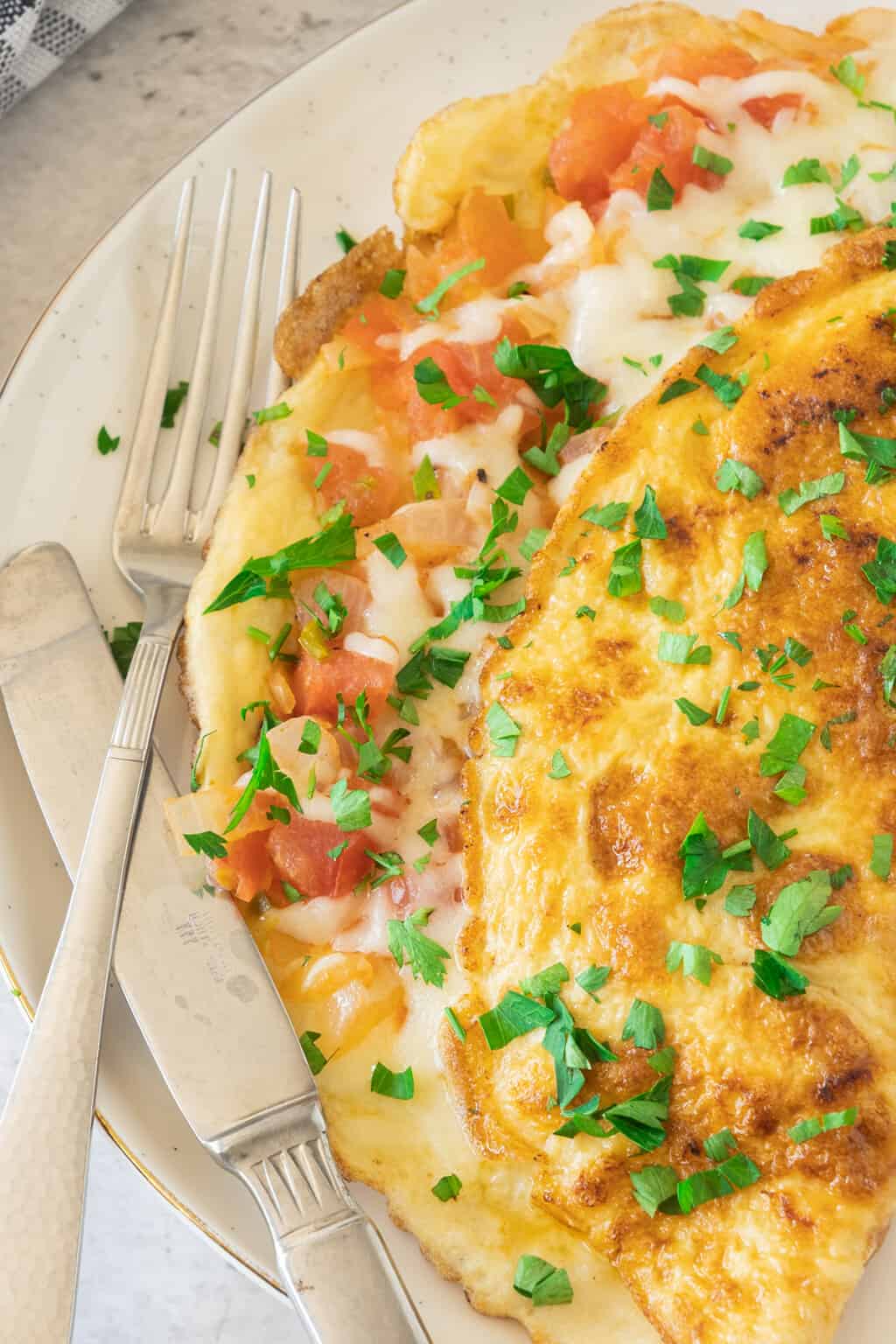 Mexican Omelette